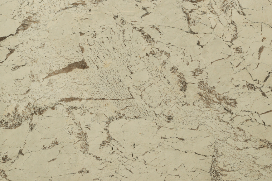 Picasso White Quartzite in UAE | Picasso White UAE | Picasso White ...