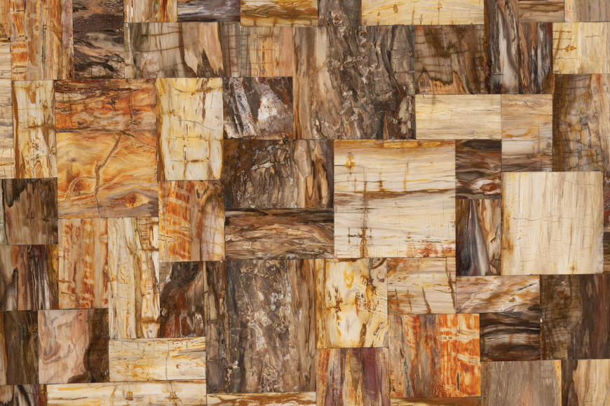 Petrified Wood | Petrified Wood Semi Precious Stone | Semi Precious ...